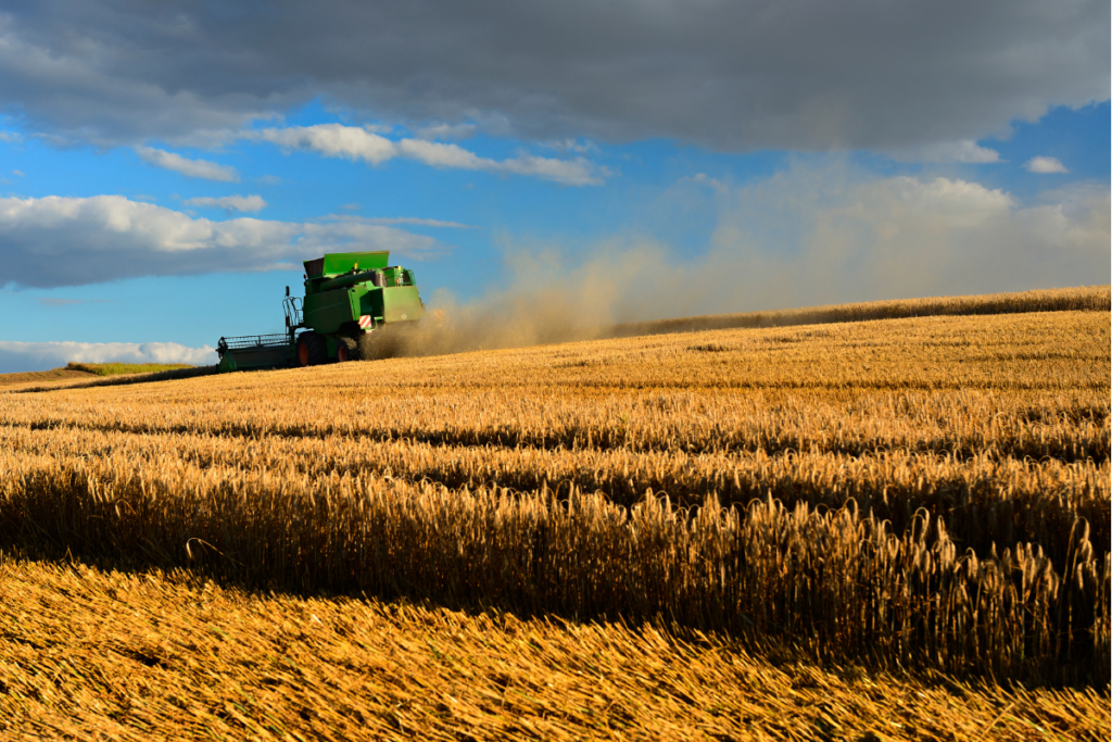 Navigating Agristability: Understanding the Program | Virtus Group