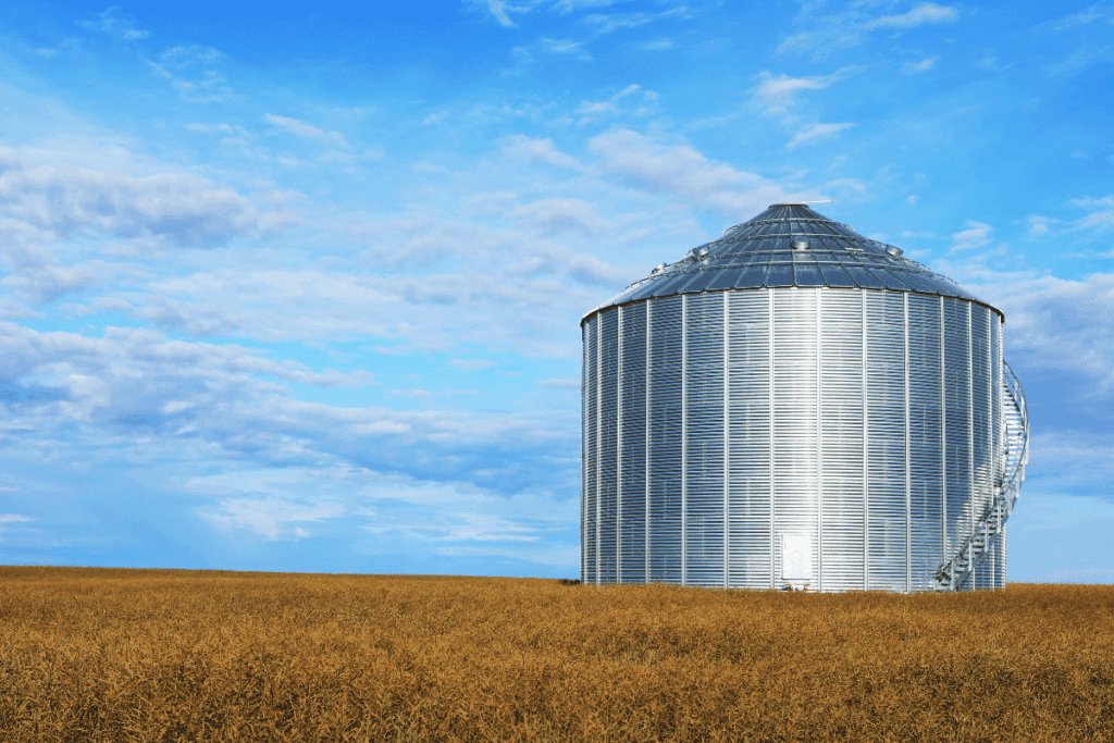 2026 CPP & EI Rates Updates | Virtus Group